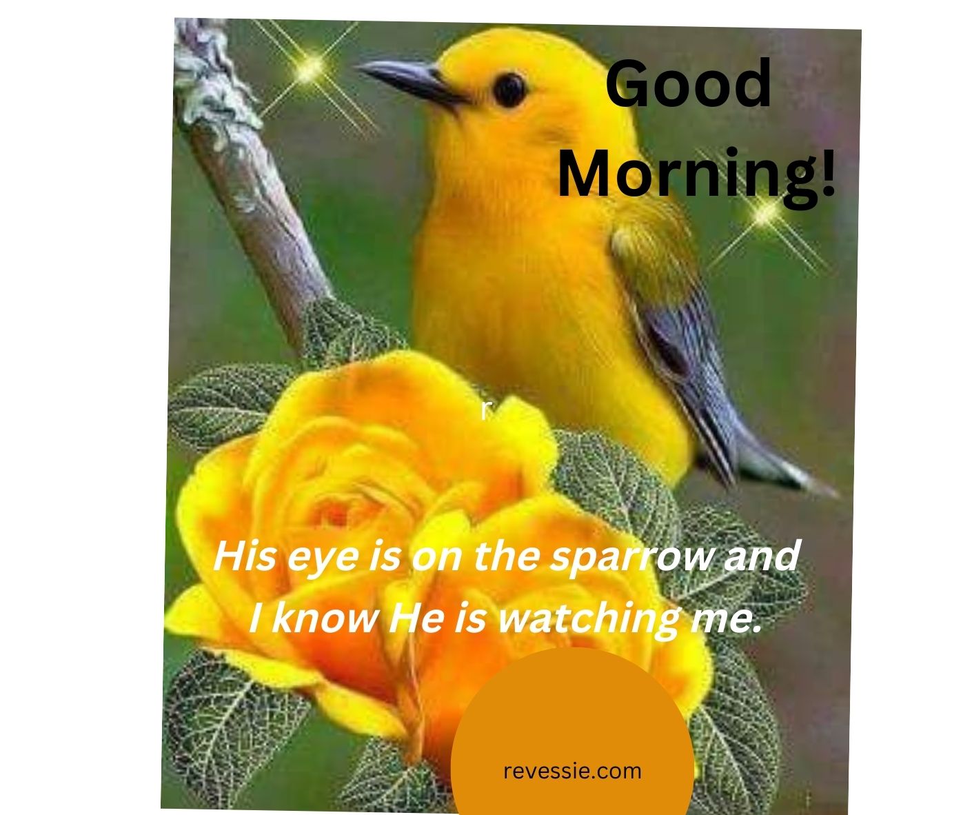 Good Tuesday morning October 4th 2022! – ︎ ~ RevEssie.Com ~ ︎